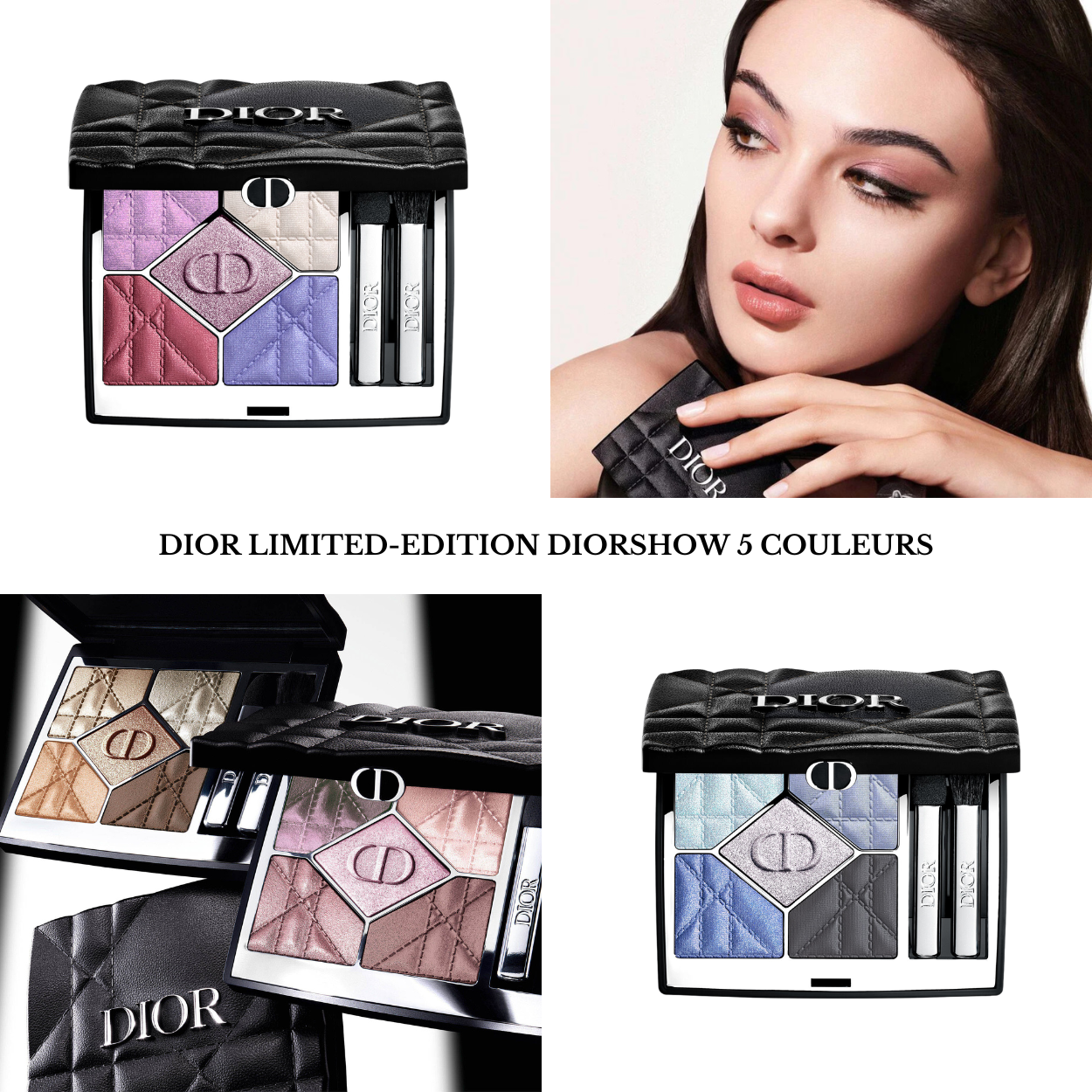 Palette Preview! DIOR Limited-Edition Diorshow 5 Couleurs Eye Palettes ...
